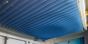 Acoustex Specialty Products